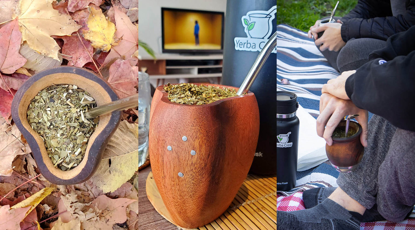 Yerba Mate Stickers - 3 Pack - Yerba Crew