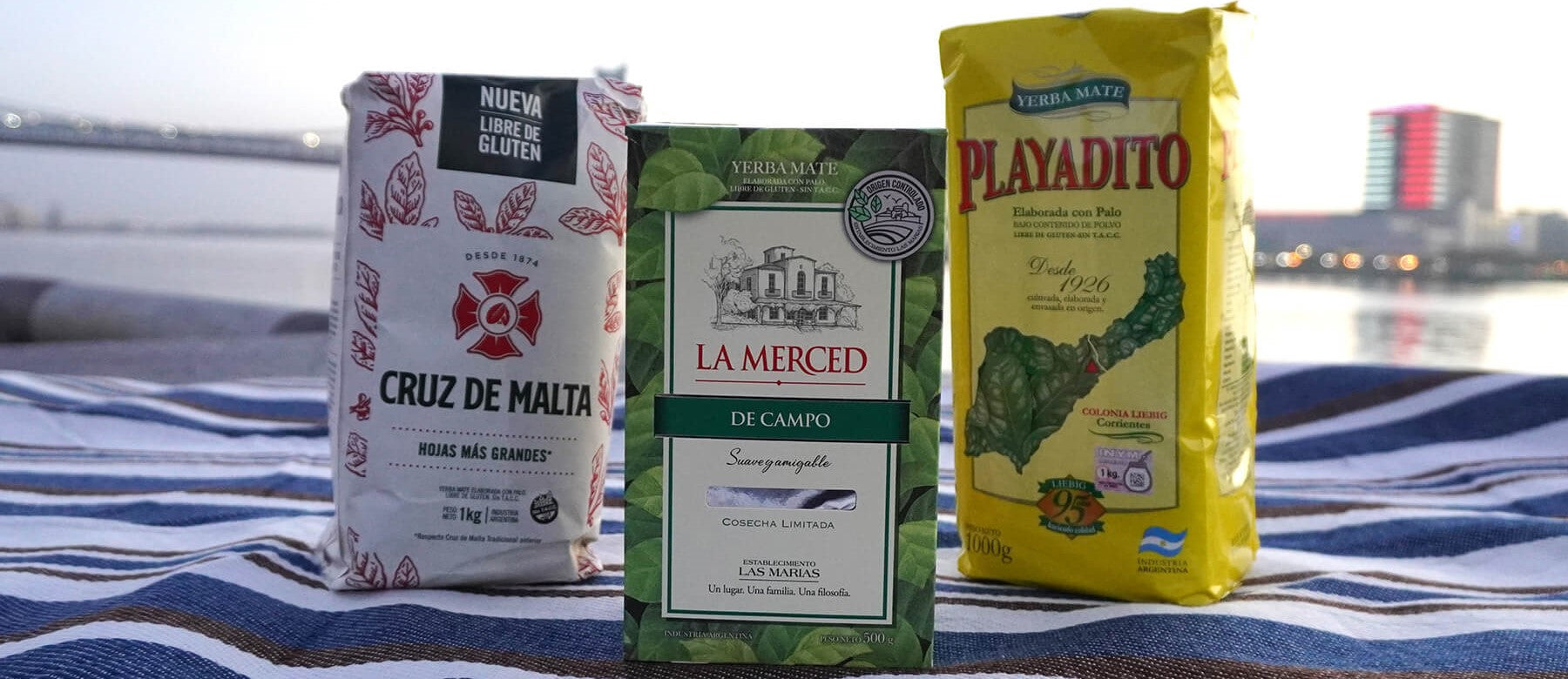 Yerba Mate Differences | Learn the types and how to choose - Yerba Crew