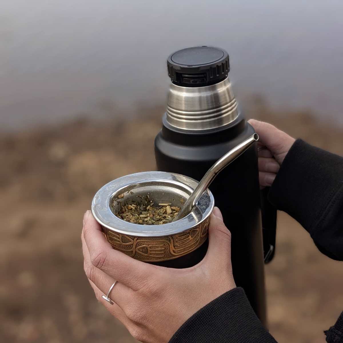 Best Yerba Mate Brands for 2026 – Yerba Crew